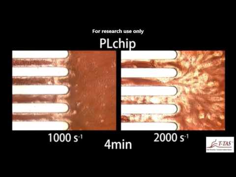 T-TAS® plus PLchip showing platelet thrombus formation