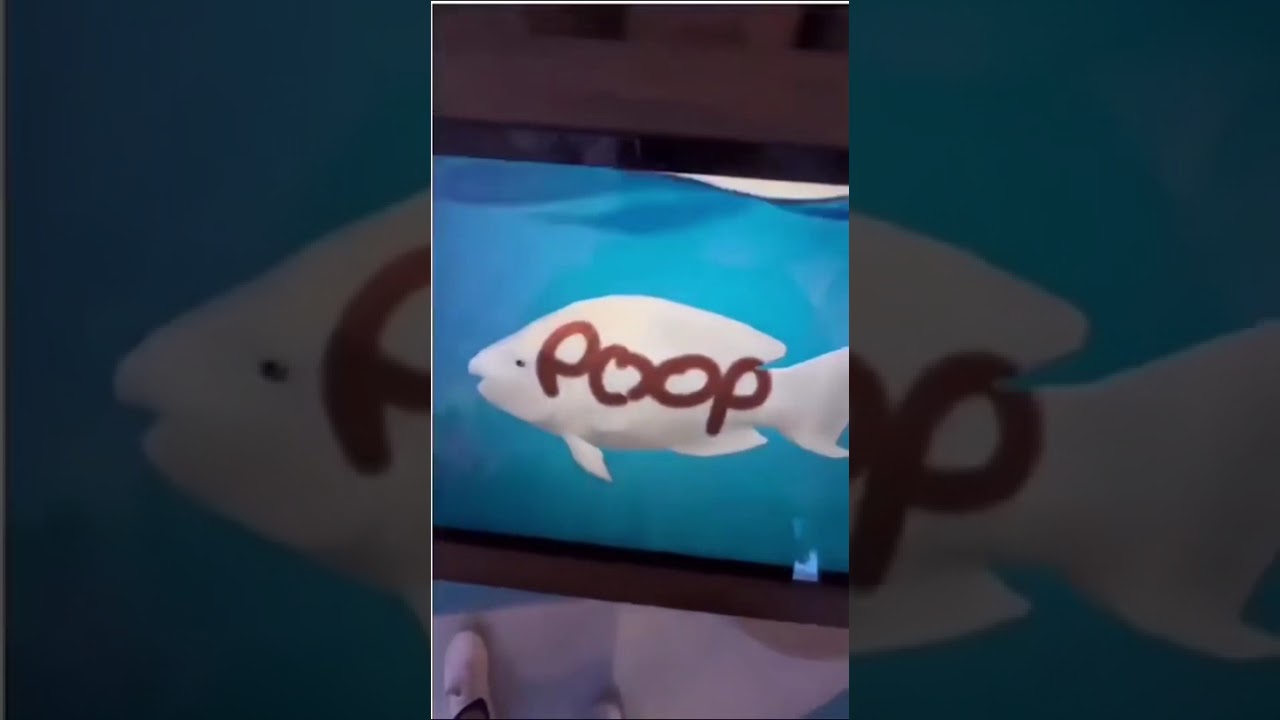 Poop fish meme #funny #memes