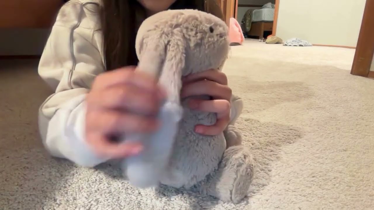 Jellycat Bunny I bought from amazon for 30 dollars.