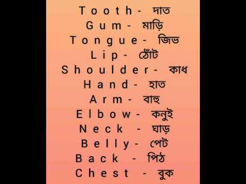 VOCABULARY (PART-1)Human Body Parts Name 📝#englishliterature #english to #bengali