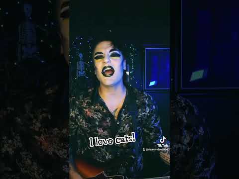 "I Love Cats" - Vision Video