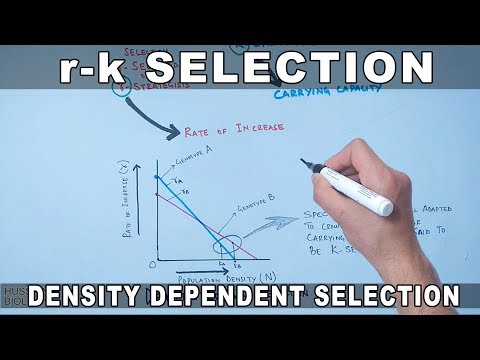 r-k Selection | Density Dependent Selection
