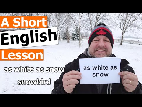 Learn the English Phrases AS WHITE AS SNOW and SNOWBIRD