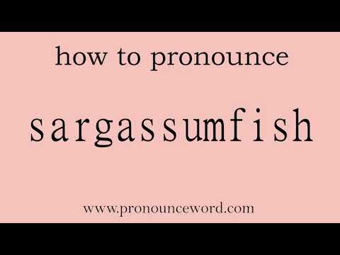 sargassumfish. How to pronounce the english word sargassumfish .Start with S. Learn from me.