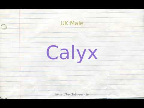 How to pronounce calyx