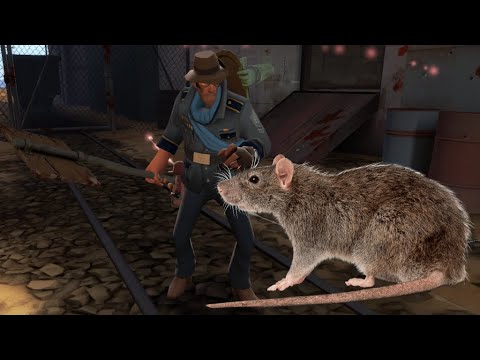 Steam Community :: Video :: Team Fortress 2 - Rat Moment