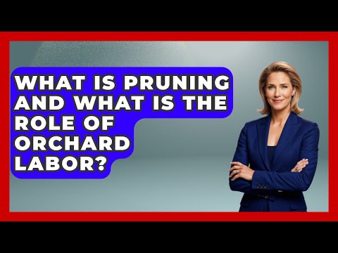 What Is Pruning And What Is The Role Of Orchard Labor? - The World of Agriculture