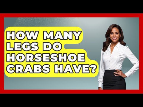 How Many Legs Do Horseshoe Crabs Have? - The Marine Life Explorer