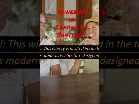 TOP 5 Wineries Along The Way to Camino De Santiago and Why Should You Visit its Wineries?