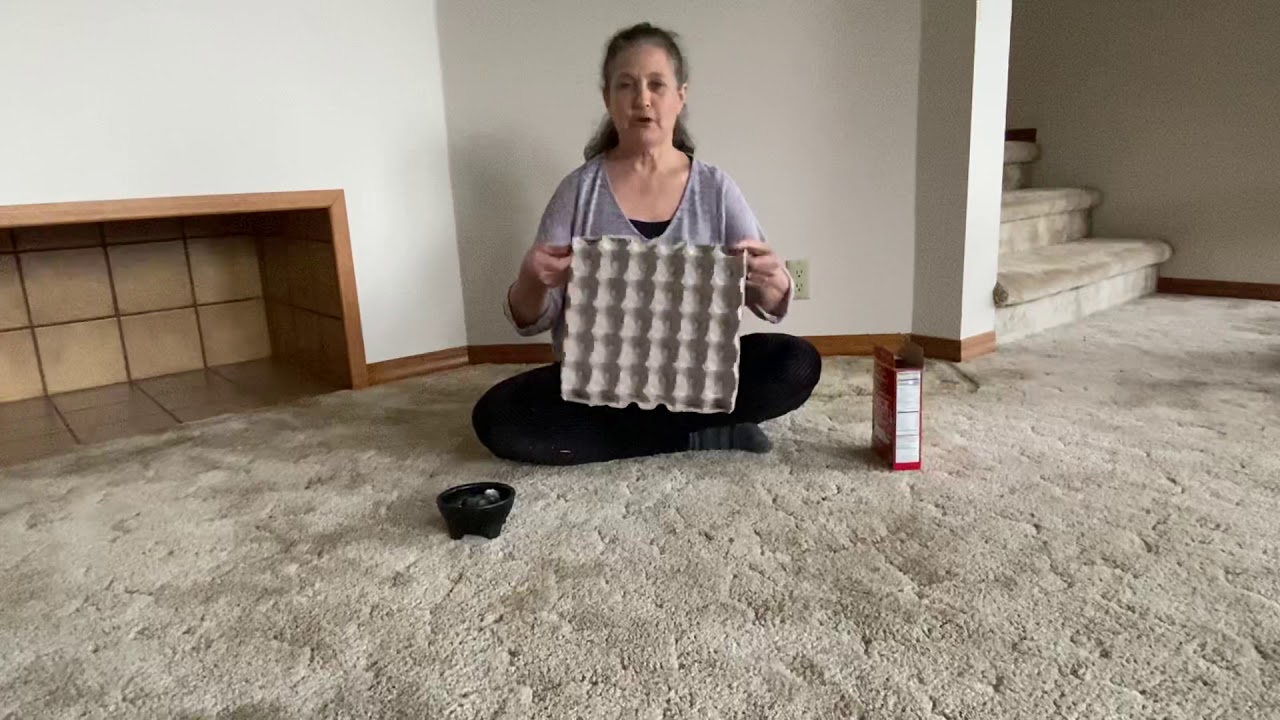 EGG CARTON STASH:  A PINCER GRASP AND IN HAND MANIPULATION GAME