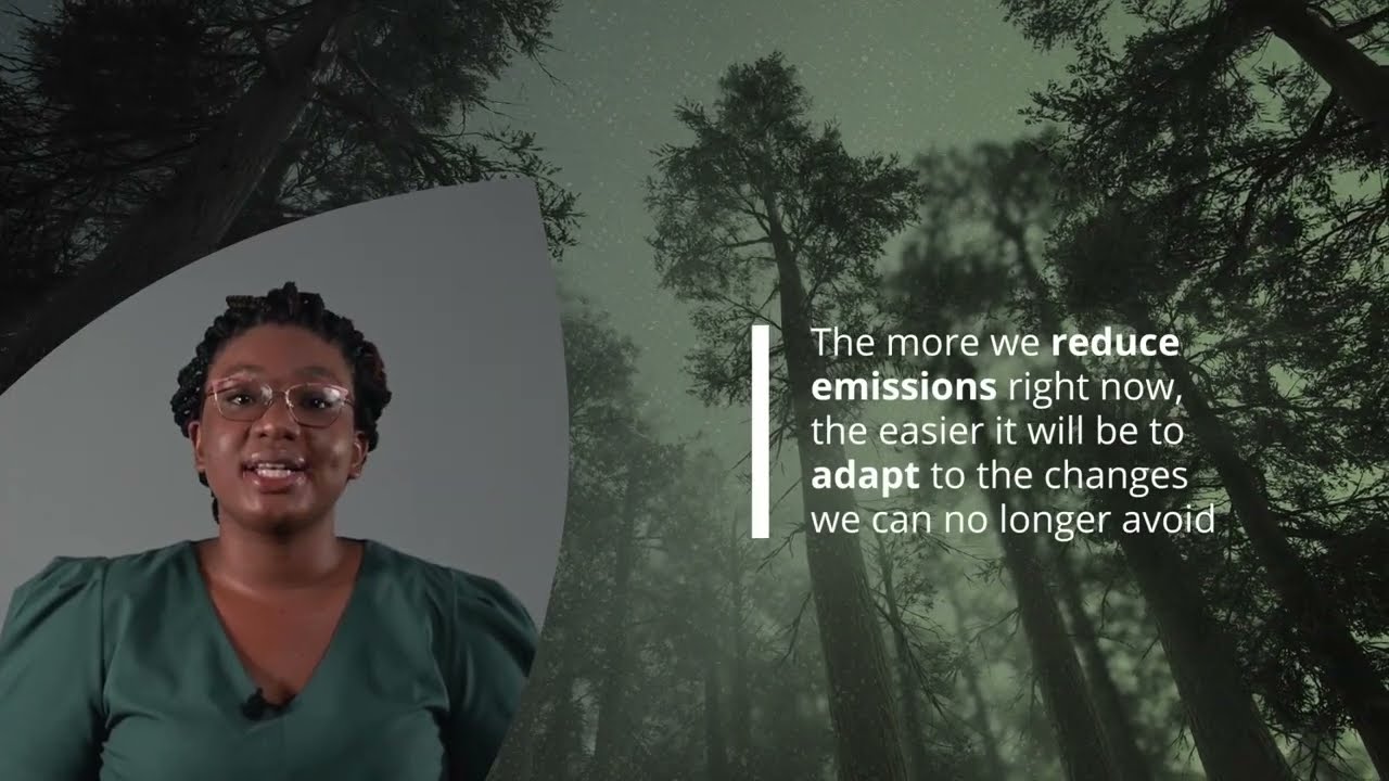 Climate Change 101 - Mitigation and Adaptation