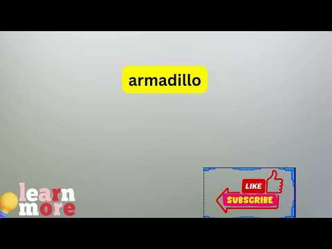 How to Pronounce armadillo