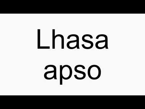 How to pronounce Lhasa apso