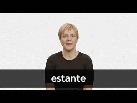 English Translation of “ESTANTE” | Collins Spanish-English Dictionary