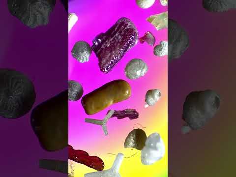 Beach sand under the microscope WILL surprise you!