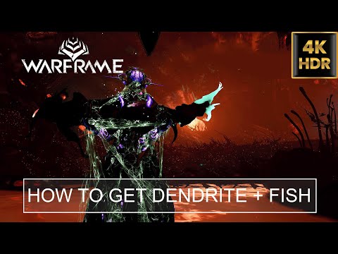 How To Get Dendrite Blastoma & Amniophysi Barbisteo Vitreospina Fish | Warframe