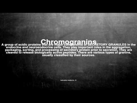 Medical vocabulary: What does Chromogranins mean