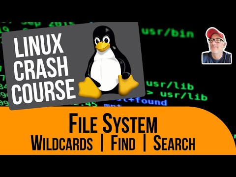 Linux Crash Course | File System - Wildcards, Find, Search