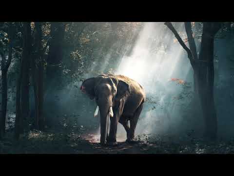 Amazing Beautiful Compilation of Pictures As Wallpaper or Screen Saver