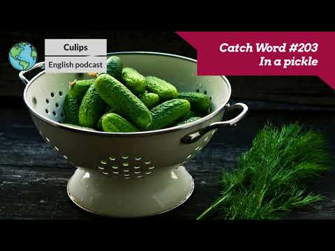 Catch Word #203 - In a pickle