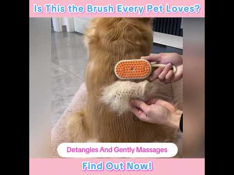 Home Spa for Your Pet! Just One Simple Secret! #funnydogs #pets