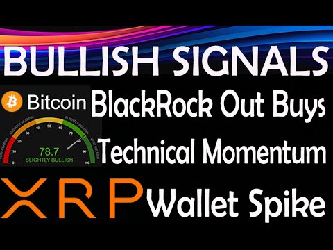 Ripple Using USDT & USDC, BlackRock 11K+ BTC, XRP Wallets Spike, JP Morgan Issues Warning