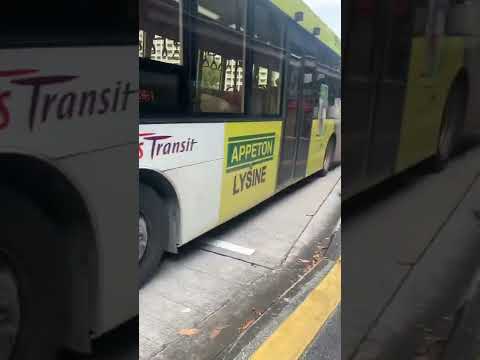 SCANIA SBS TRANSIT 🇸🇬 #shorts