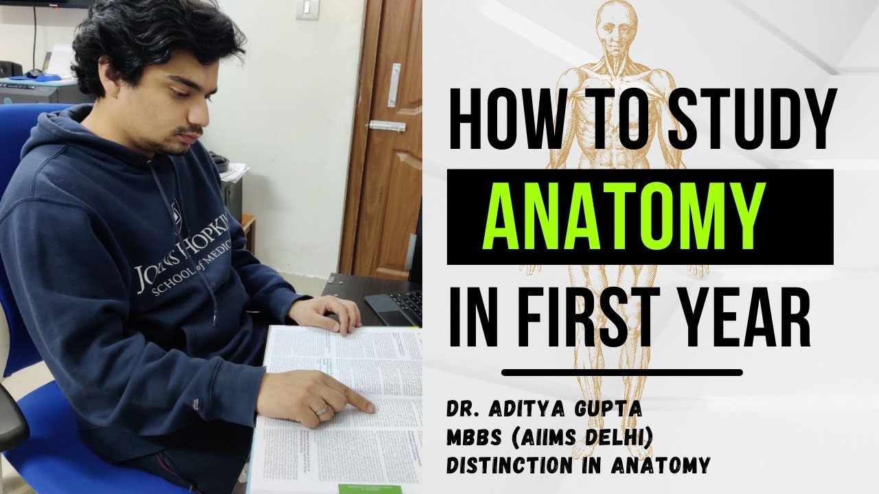 How to study Anatomy in 1st Year #mbbs #1styearmbbs