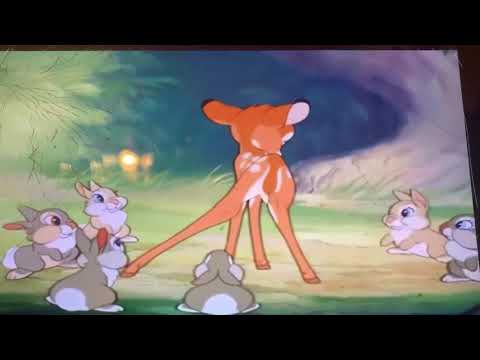 Bambi learns how to walk and speak