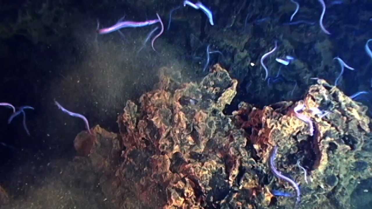 Hawaii Undersea Research Laboratory (HURL) at UH SOEST