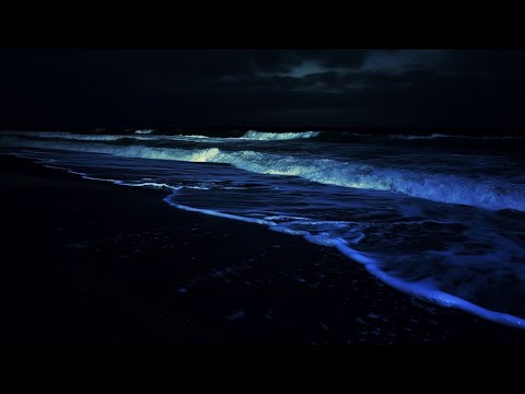 Gentle Ocean Sounds for Relaxation • Release Insomnia, Goodbye Stress • Deep Sleep & Peaceful Rest
