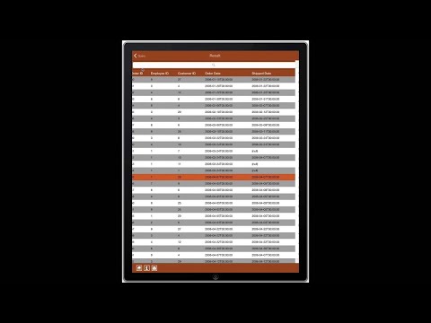 AccessProg - Microsoft Access Client for iPhone and iPad