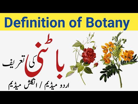 Definition of Botany | What is Botany | Botany meaning in Hindi