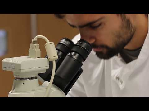 XCellR8 Human Cell Toxicity Test