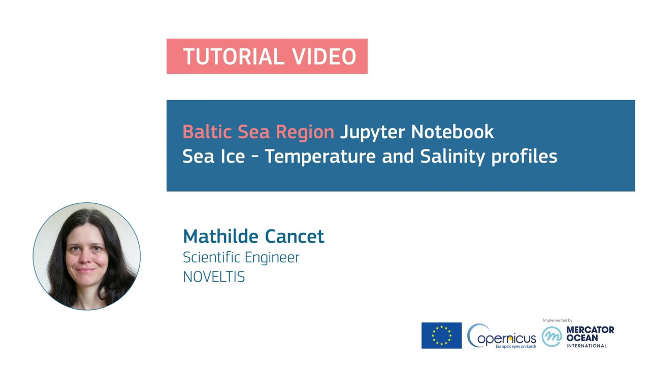 Jupyter Tutorial - Baltic Sea - Temperature and Salinity profiles