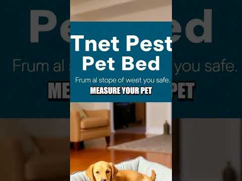 How to Choose the Best Pet Bed for Your Furry Friend