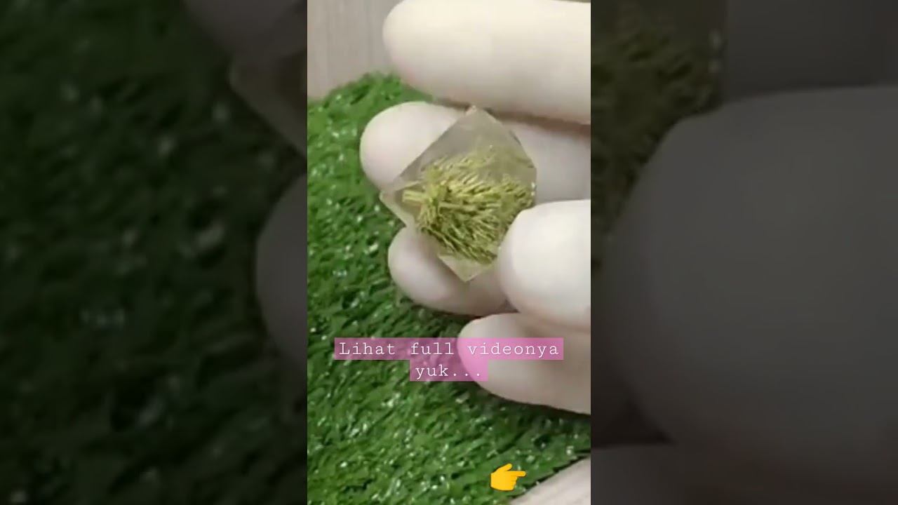 bunga kering dalam resin, gantungan kunci #resin #diy #kerajinan #gantungankunci #shorts