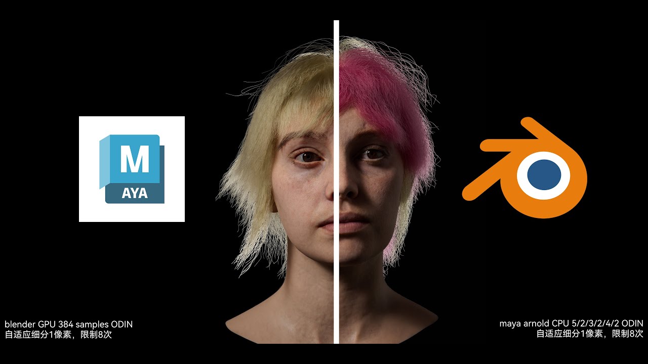 Blender VS Maya Arnold Realistic Head Render 2024