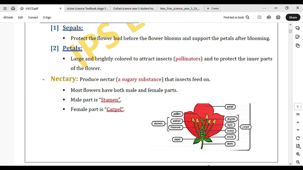 1 10 1 pdf   Adobe Acrobat Reader 64 bit 2025 10 19 21 06 40