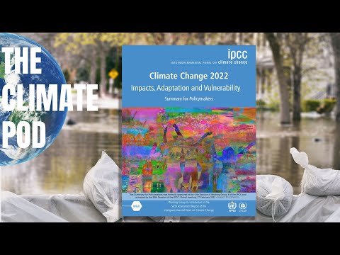 2022 IPCC Report Explained: Impacts, Adaptation, and Vulnerability