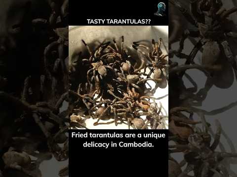 TASTY TARANTULAS? #shorts
