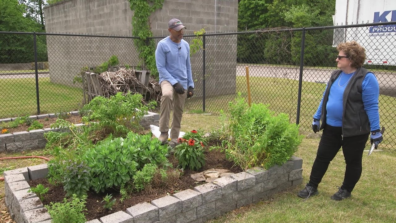The Family Plot - June 3, 2023