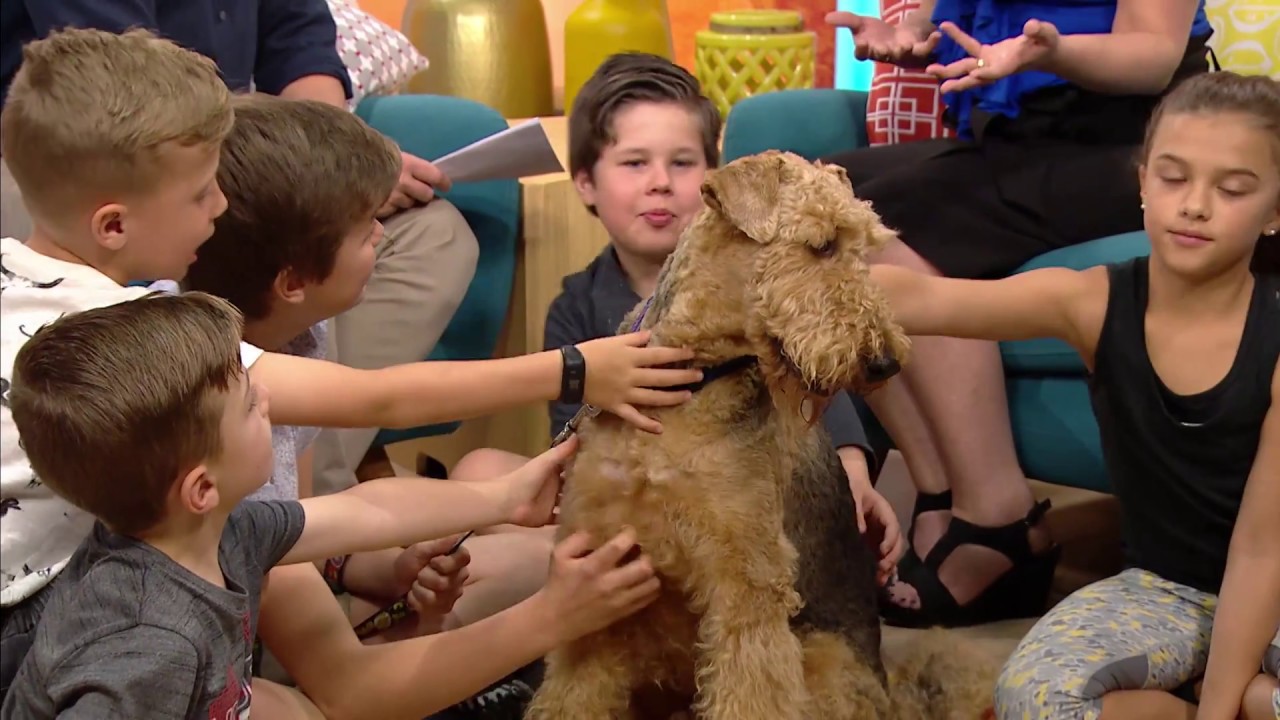 What having a pet can teach your child