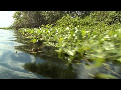 Documentary: Troubled Waters