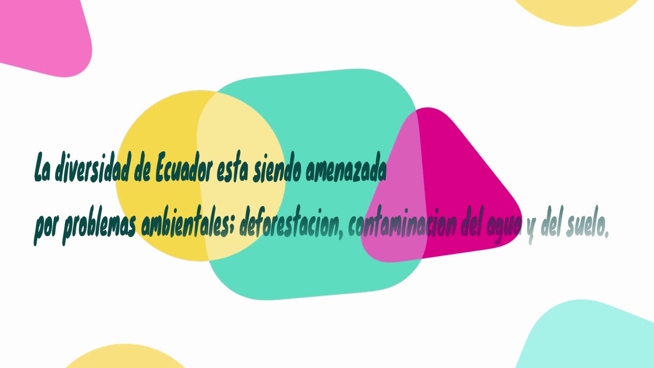 Collage Ambiental