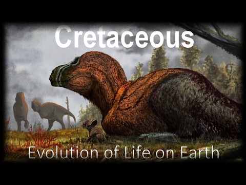Cretaceous era animals, video | Dear Kitty. Some blog