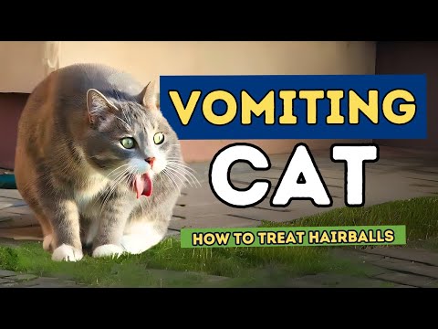 Cats Vomiting? I Tried 3 Diets to Stop the Hairballs!