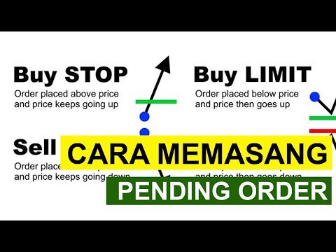 How to Install the Right Pending Order | Wijaya Trading Jember