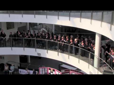 Tonic Choir at Bushey WW1 event 9 August 2014
