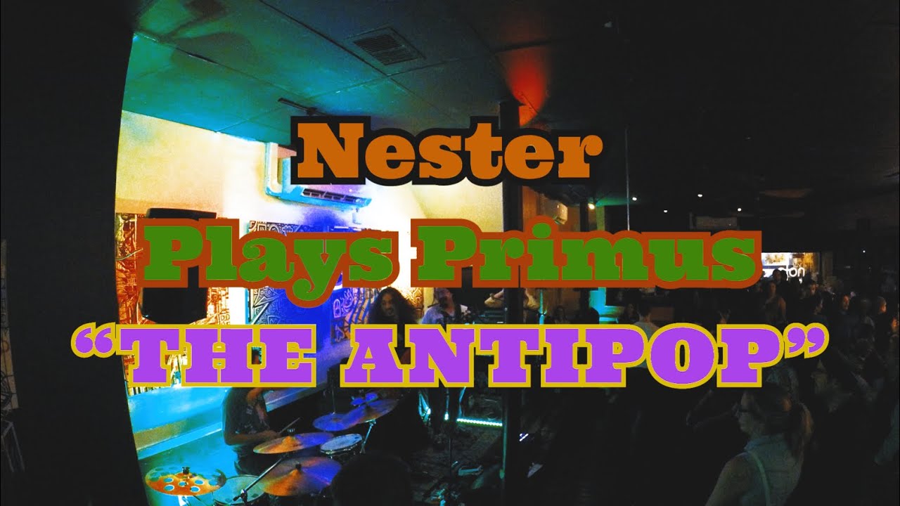 The Antipop - Nester Plays Primus LIVE